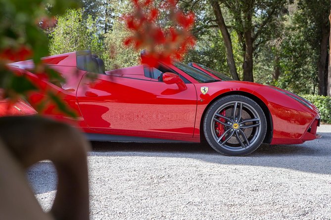 Bolgheri / Volterra / Florence-Tour in Ferrari - Who Should Consider This Tour?