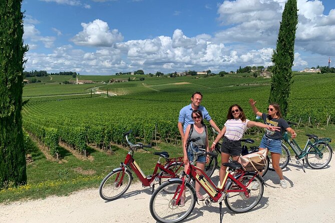 Bordeaux Full Day Wine and Bike Tour - What to Expect During the Experience