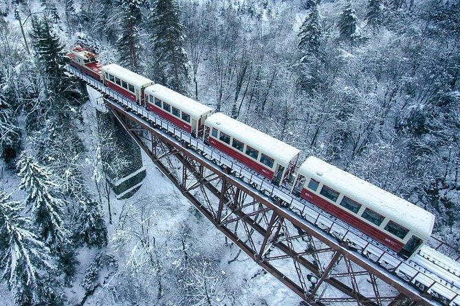 Borjomi/Bakuriani Private Full Day Tour from Tbilisi - Who Should Consider This Tour?