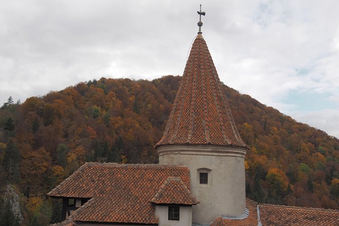 Bran Castle and Rasnov Fortress Tour from Brasov with Entrance Fees Included - Optional Peles Castle Visit - Who Will Love This Tour?