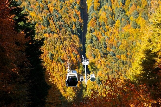 Bursa And Uluda Tour From stanbul with Cable Car & Lunch - Authentic Experiences and Practical Considerations