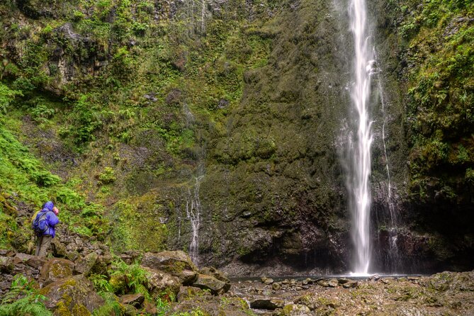 Caldeirão Verde Levada (PR 9) - Guided Madeira Levada Walk - The Sum Up