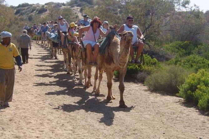 Camel Riding in Maspalomas Dunes - The Authentic Experience