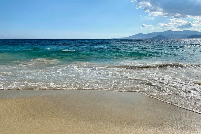 Cape Sounio Temple Of Poseidon and Swimming Full Day Private Tour - Final Thoughts: Who Is It Best For?