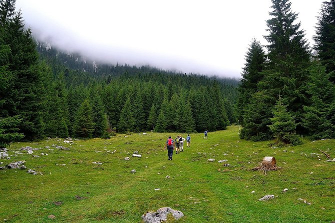 Carpathians in Romania: Piatra Craiului National Park with native Spanish guide. - Cabaña Curmatura and the Lunch Break
