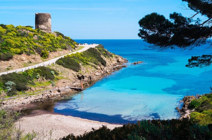 Catamaran excursions in the Asinara island National park - Transport, Timing, and Practicalities
