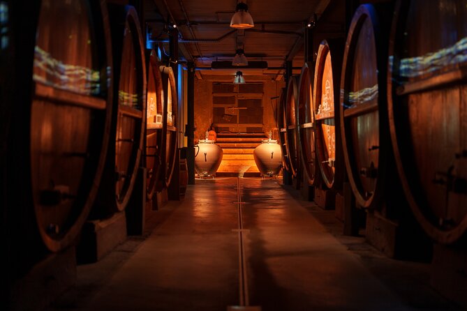 Cellar visit and "Wine time" (Tea Time around wine) - Authentic Feedback from Visitors