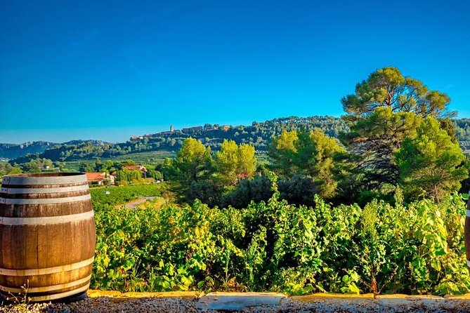 Cellar Visit & Bandol Wine Tasting (in French) - FAQ - Common Questions Answered