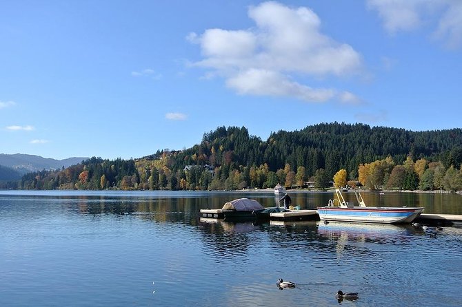 Central and Eastern Europe Highlights 7-Day Tour from Frankfurt - Practicalities and Tips