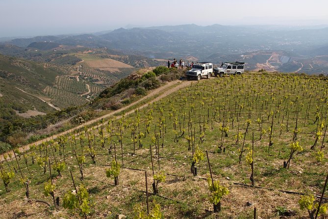Chania Shore Excursion Off Road Vineyard and Winery Tour Half Day - Transportation, Group Size, and Timing
