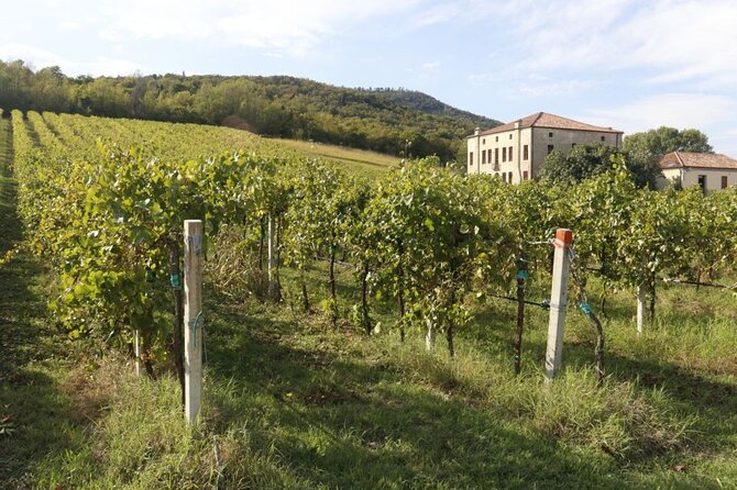 Cheese dairy farm, winery, liqueurs and spirits, ham and sausage factory - The Sum Up: Is This Tour Right for You?