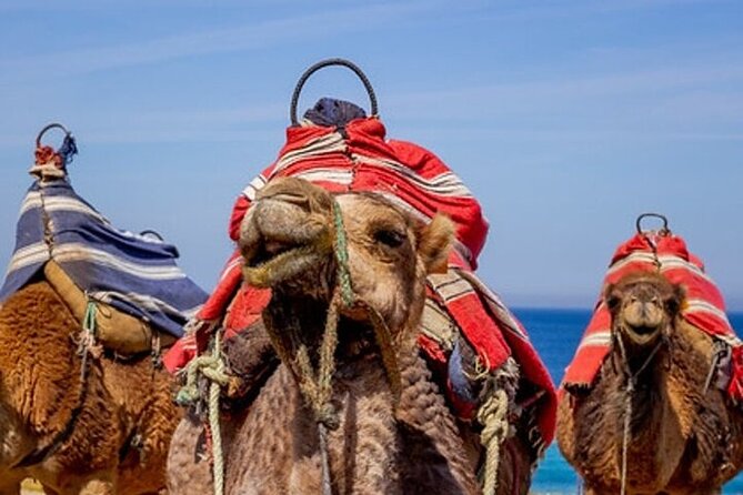 Chefchaouen Day Trip from Seville - Authenticity and Tips for a Smooth Experience