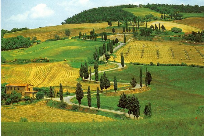 Chianti from Florence:PRIVATE Wine, Olive Oil Tasting in the Tuscan countryside - The Experience’s Pros and Cons