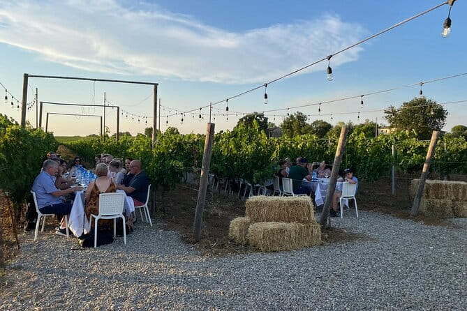 Chianti Half Day Wine Tour from Florence - What’s Included and What’s Not