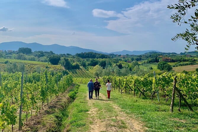 Chianti Wine Tasting Tour from Florence (2 Wineries) - What to Expect Regarding the Transportation