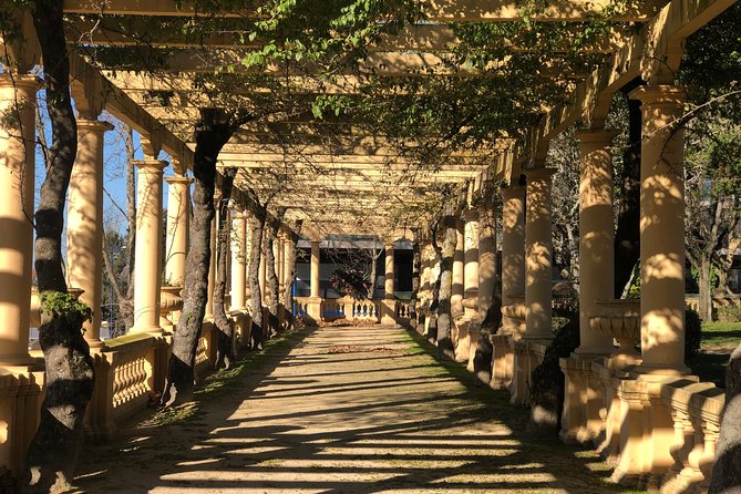Classic Aveiro City Tour by Bike - Authentic Experiences: What Past Travelers Say