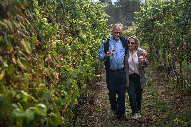 Classic Tasting | Quinta de Santa Cristina Vinho Verde - Who Is This Tour Perfect For?
