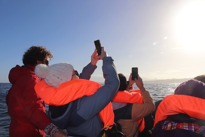 Coastal boat tour in Ribeira Grande and Porto Formoso - Practical Details and Tips