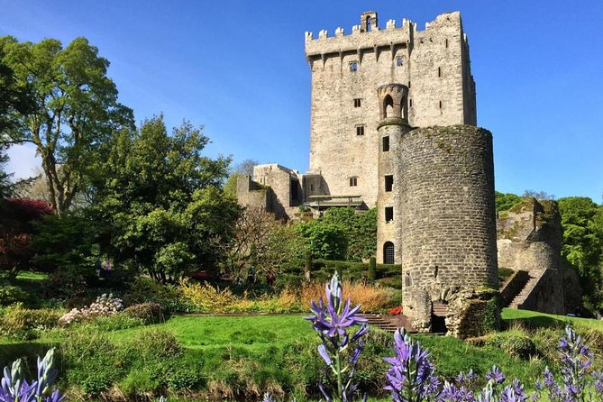 Cobh (Cork) to Blarney Castle & Kinsale - Shore Excursion - Frequently Asked Questions