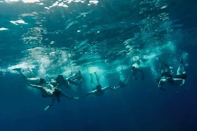 Comino Guided Snorkeling Experience - Final Thoughts: Who Will Love This Tour?