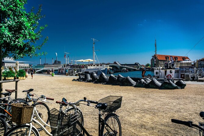 Complete Copenhagen Private Bike Tour - Reviews in a Nutshell