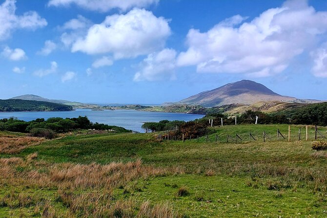 Connemara Sheep Farm experience & Kylemore Abbey by Lux Limousine - What the Reviews Say
