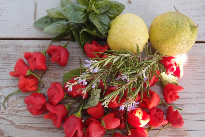 Cooking class, traditional Greek cuisine, on a Greek island - Authenticity and Cultural Insights
