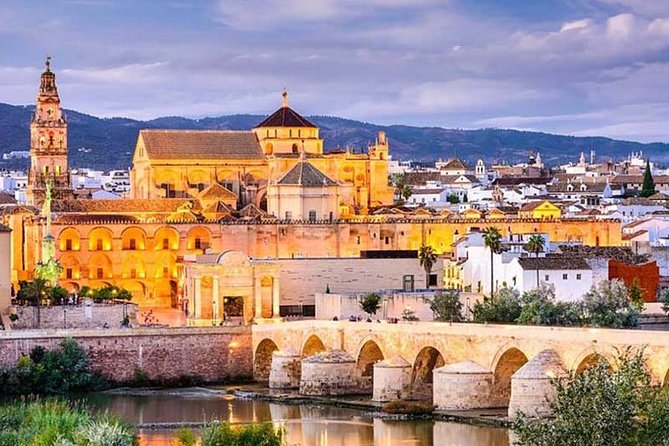 Cordoba private tour from Granada for up to 8 persons including the great Mosque - The Value Perspective: Is It Worth It?