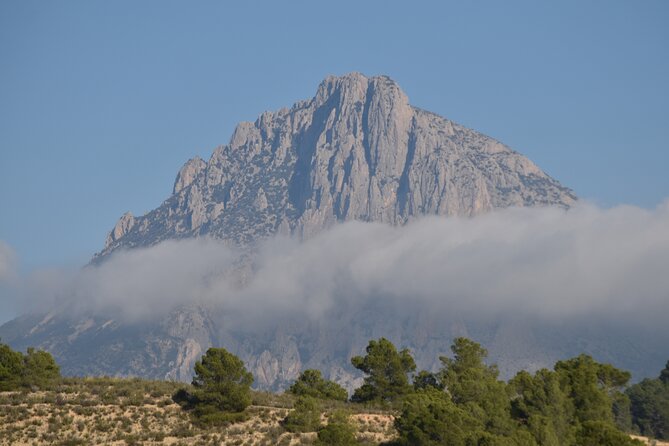 Costa Blanca Full-day Off Road Tour - What the Reviews Say: Authentic Experiences and Genuine Fun