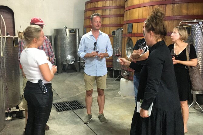 Côtes de Provence Small Group Day Trip with Winery Visits & Tastings from Nice - Perfect For…