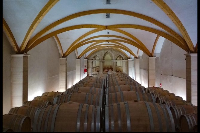 Côtes du Rhône Wine tour: Avignon, Palace of the Popes - Who Should Consider This Tour?