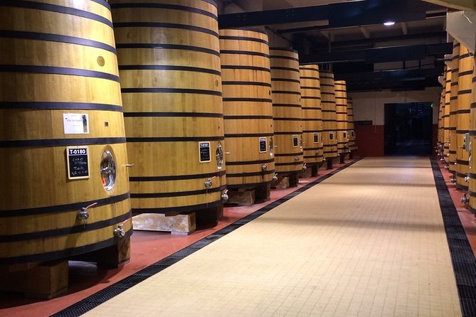 Cotes du Rhone Wine Tour - Private Tour - Full Day From Lyon - Who This Tour Is Perfect For