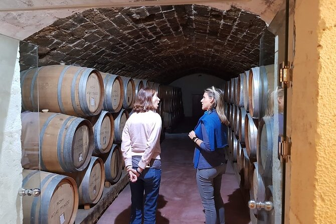 Crete Wine & Olive Oil Tour - Final Thoughts: Is It Worth It?