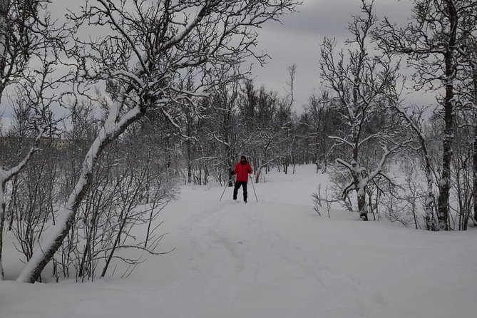 Cross-Country Ski Lesson for Beginners in Tromso - Authenticity and Real Experiences