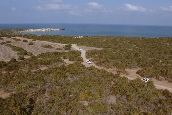 Cruise and 4X4 Safari Tour at Akamas Peninsula from Paphos - Authentic Experiences & Traveler Feedback