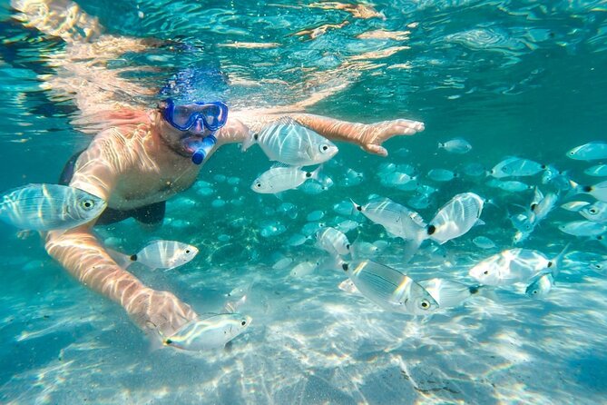 Cruise to Bonifacio and Snorkeling to the Lavezzi Islands - Who Should Consider This Tour