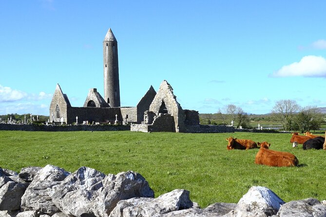 Day trip to Cliffs of Moher & Bunratty Castle and Ennis - Final Thoughts: Is It Worth It?