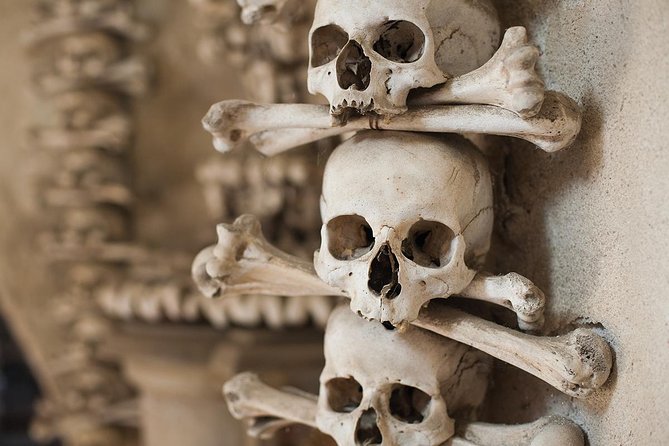 Day Trip to Kutná Hora by train from Prague - What Travelers Say