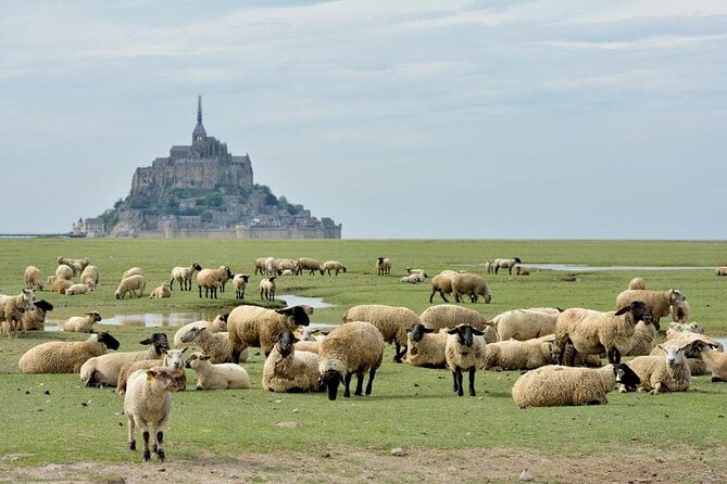 Day Trip with a local driver Mont Saint-Michel from Saint-Malo - 6 hours - Who This Tour Is Best For