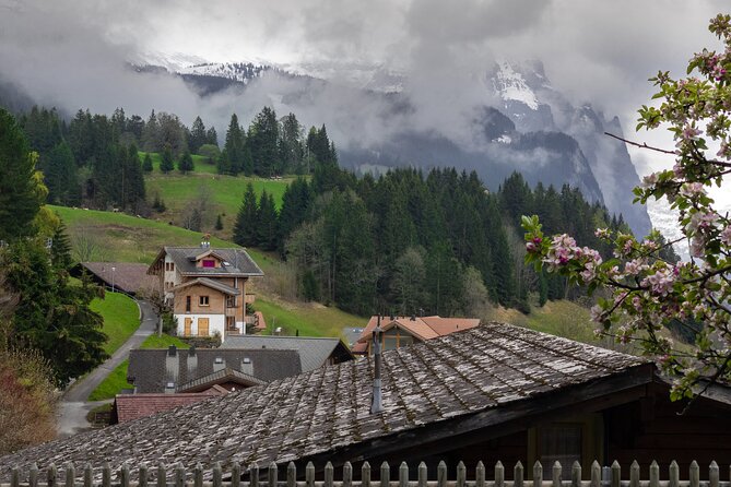 Daytrip to Swiss Villages: Interlaken Grindelwald & Lauterbrunnen - FAQ