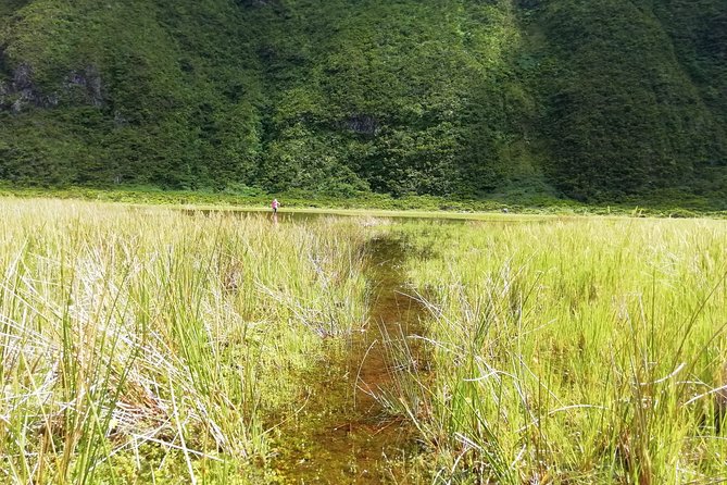 Descent to Caldeira do Faial - The Perfect Adventure - Frequently Asked Questions