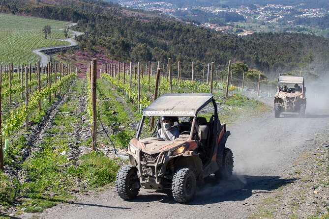 Dirt and Dust Tour by Oporto Buggy - What the Experience Feels Like