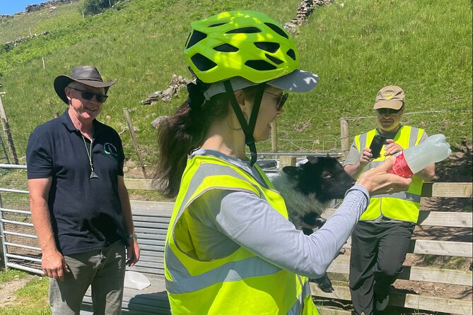 Discover Connemara Tour by Electric Fat Tyre Bike - Who Will Love This Tour?