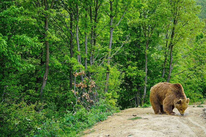 Discover Highlights of Kosovo in 4 days tour! - Practical Tips for Making the Most of the Tour
