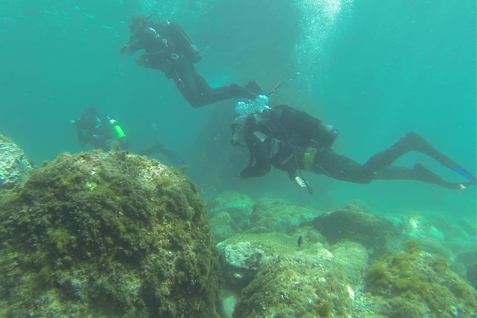 Discover scuba diving - Price and Value