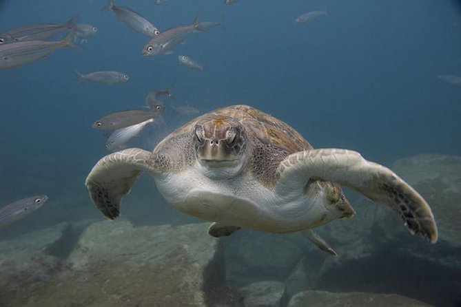 Discover Scuba Diving - The Practicalities: Details That Matter