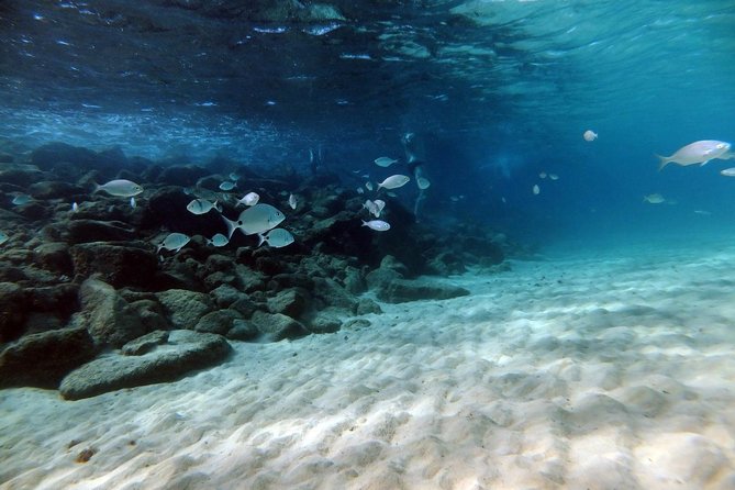 Discover Scuba Diving in Lanzarote (Costa Teguise) - What Makes This Tour Stand Out