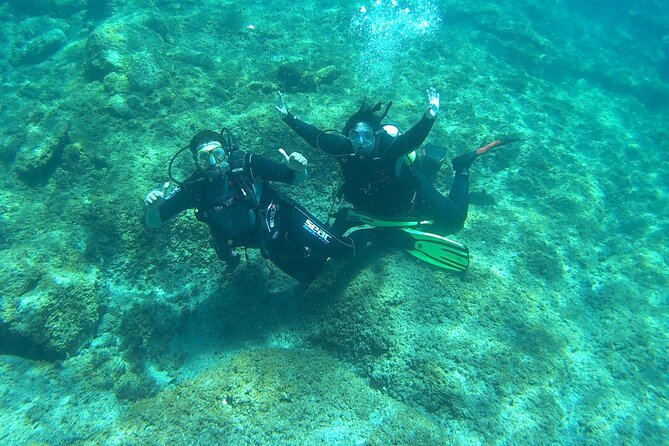 Discover Scuba Diving in Tenerife - The Itinerary: From Meeting to Underwater Adventure