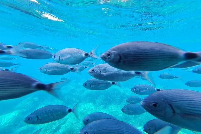 Discover secrets of the sea swimming cave and underwater vision - Practical Aspects and Value