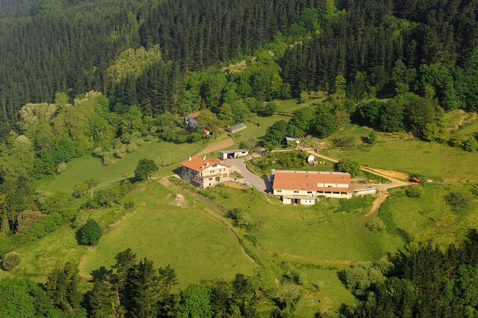 Discover the Art of Idiazabal Cheese in the Basque Country - Pricing and Value